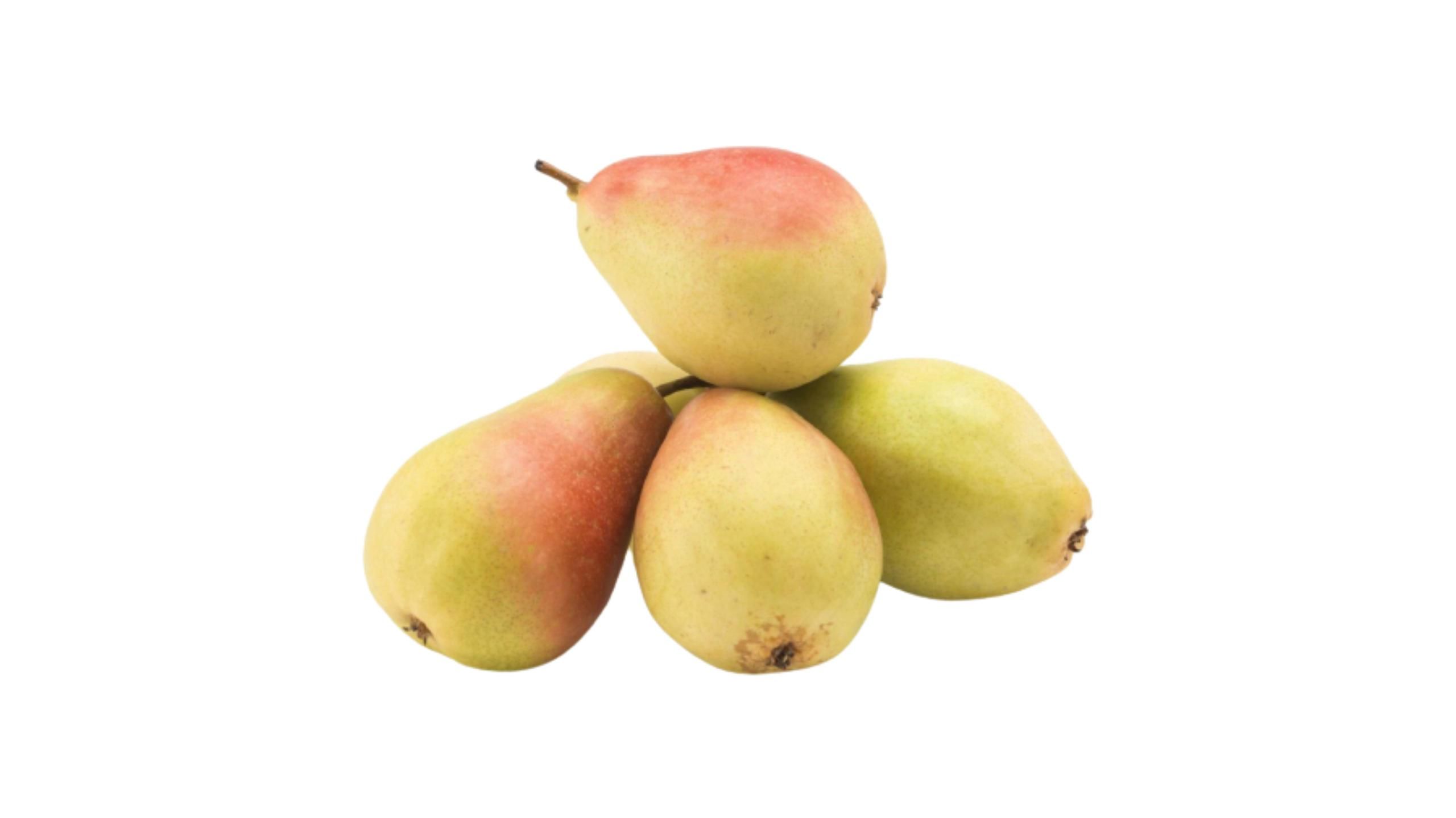 Груша Санта Мария Описание Фото – Telegraph