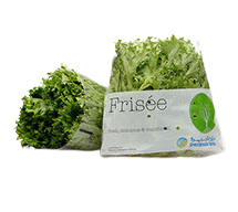 Buy Peninsula Farms Baby Leaf Frisee - Bahrain, 1 Piece Online in ...