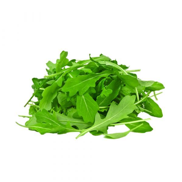 Buy Baby Rocca - Holland, 1 Pack Online in Bahrain | Talabat Bahrain