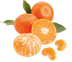 Buy Mandarin - Morocco, 500g Online in Bahrain | Talabat Bahrain