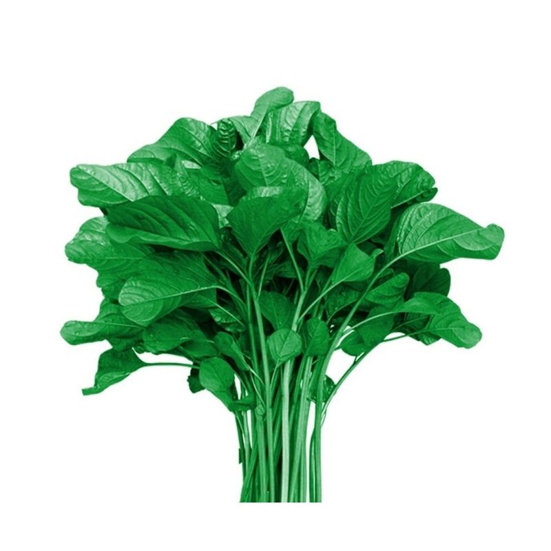 Buy Green Cheera Leaves Online in Bahrain | Talabat Bahrain