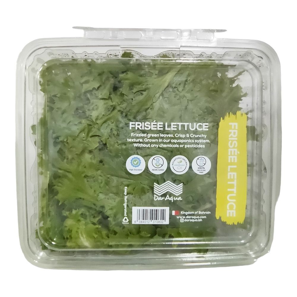Buy Frisee Green Lettuce, 1 Pack Online in Bahrain | Talabat Bahrain