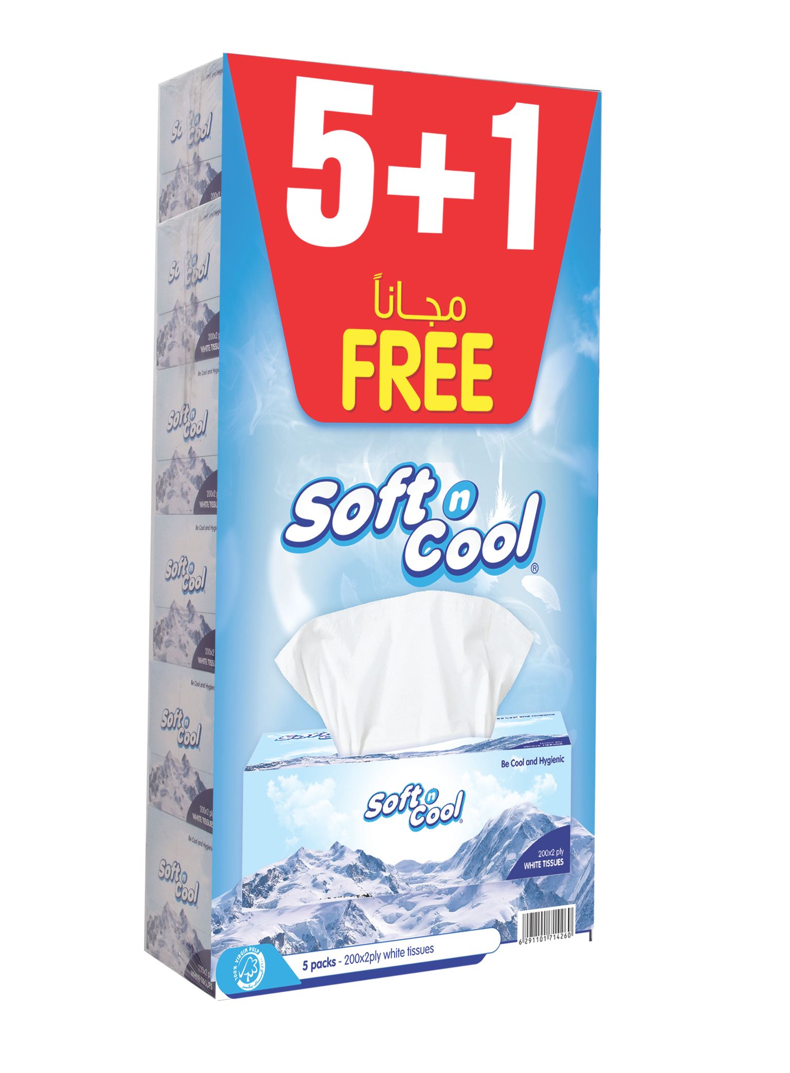 Buy Soft N Cool 2Ply Facial Tissues, 5+1 Free x 200 Sheets Online in ...