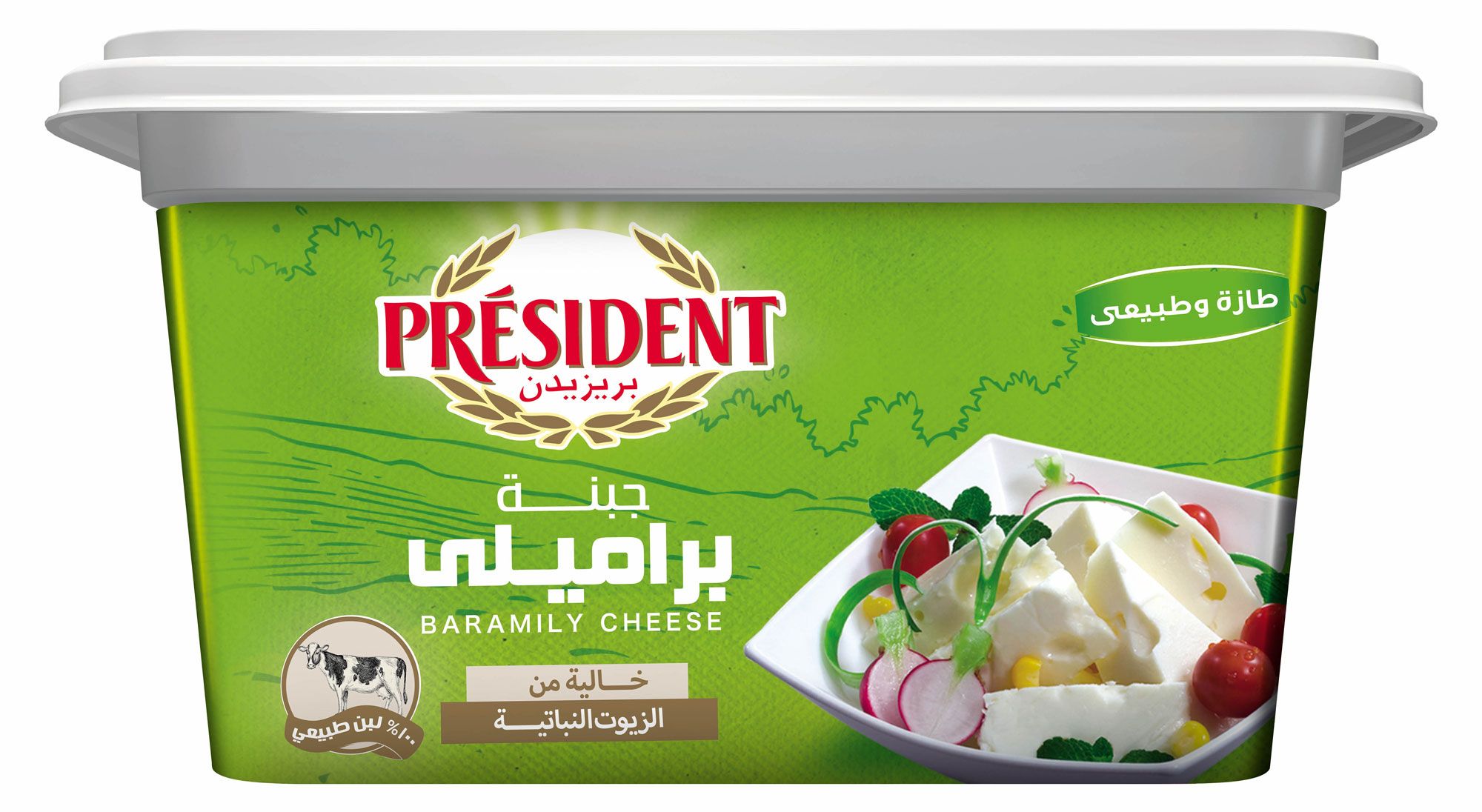 Buy President Baramily Cheese 450 gm Online in Egypt | Talabat Egypt