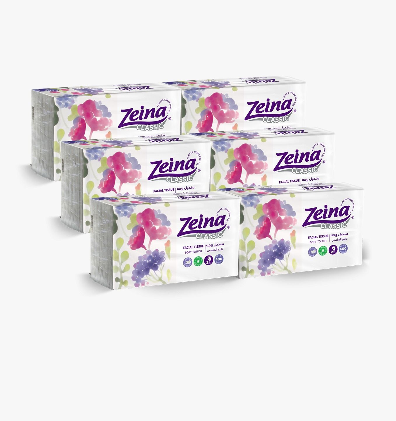 Buy Zeina Tissues Bundle 400 Tissue X 6 Bags Online in Egypt | Talabat ...