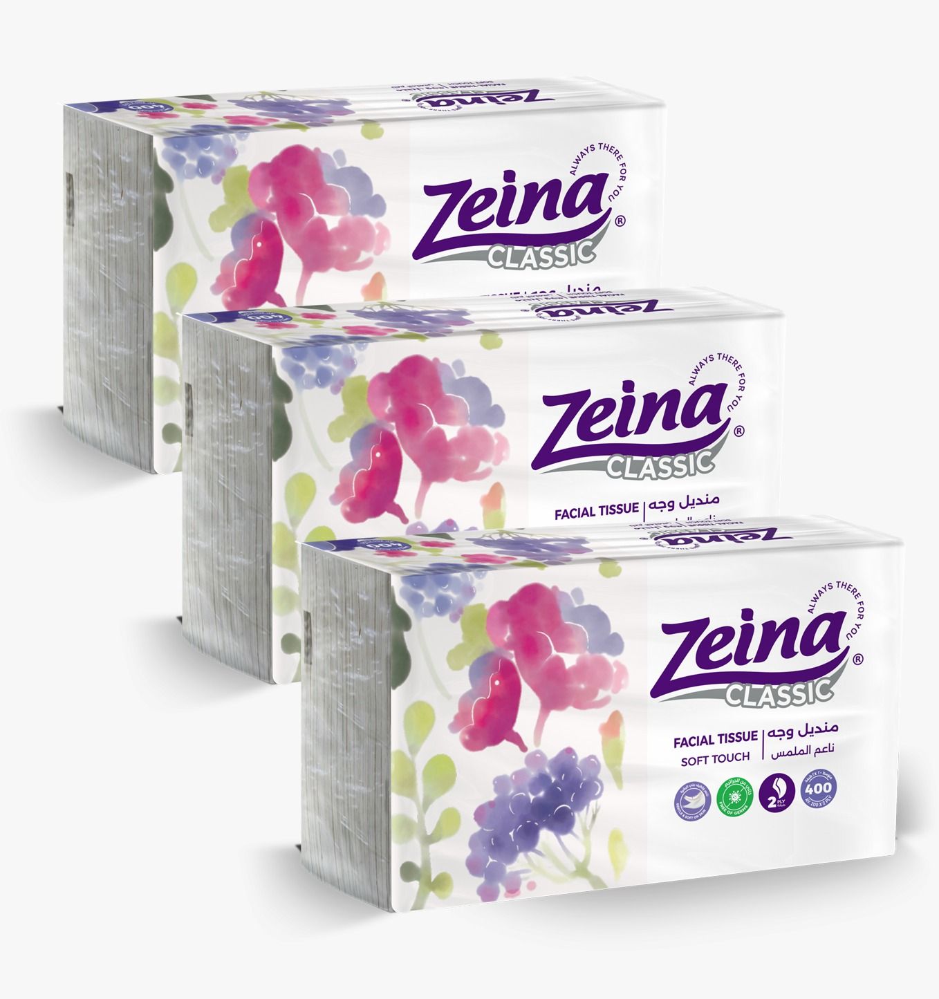Buy Zeina Tissues, 3x400 Sheets Online in Egypt | Talabat Egypt