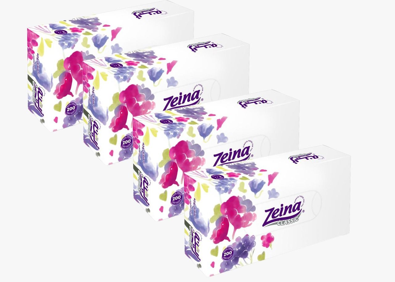 Buy Zeina Summer Edition Facial Tissues, 4x200 Sheets Online in Egypt ...