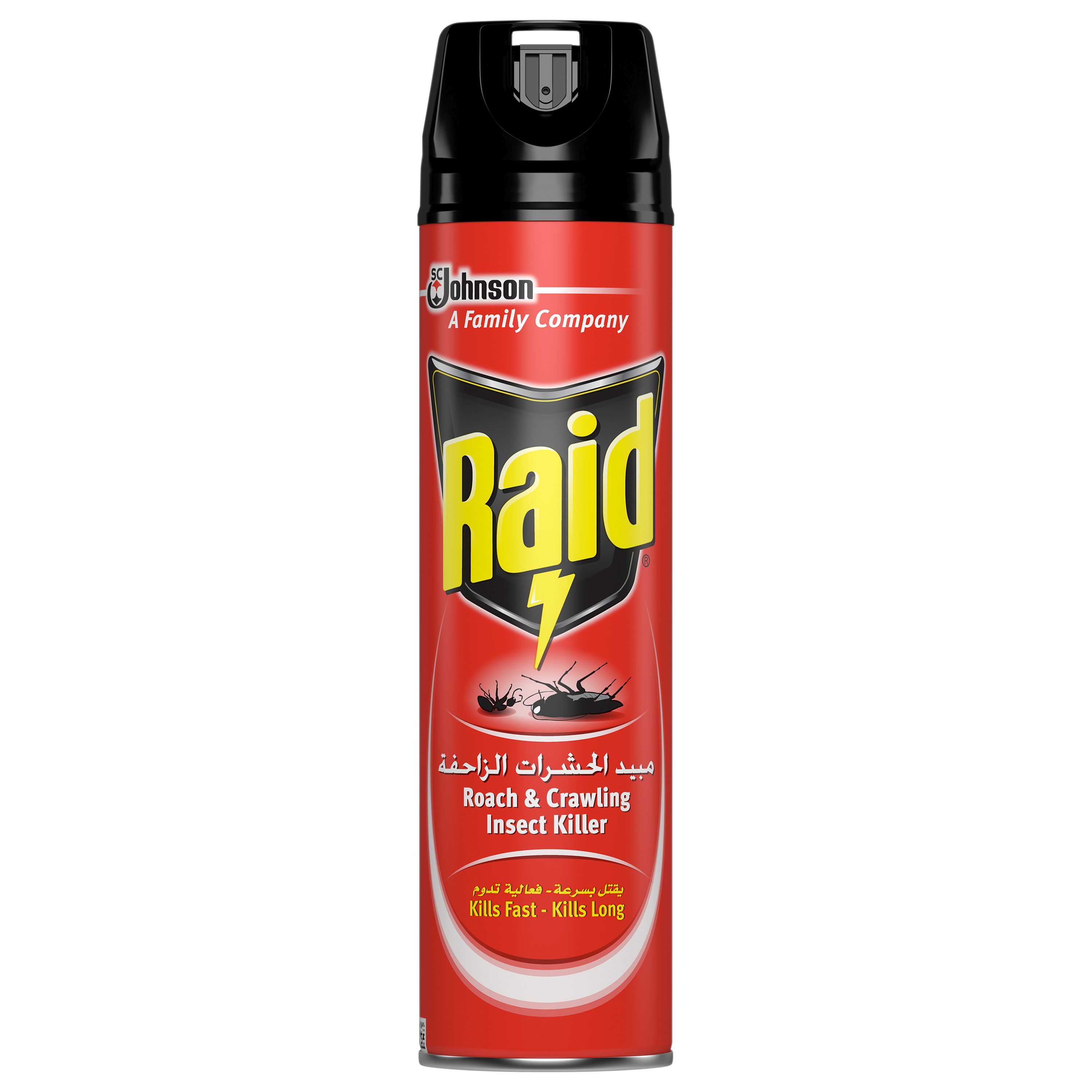 Buy Raid Crawling Insect Killer Spray, 400ml Online in Egypt | Talabat ...