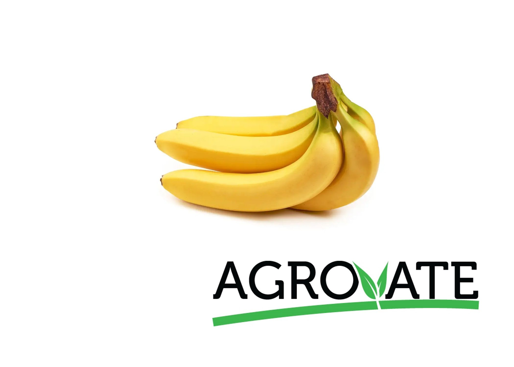 Buy Agrovate Imported Bananas, 5 Pieces Online in Egypt | Talabat Egypt