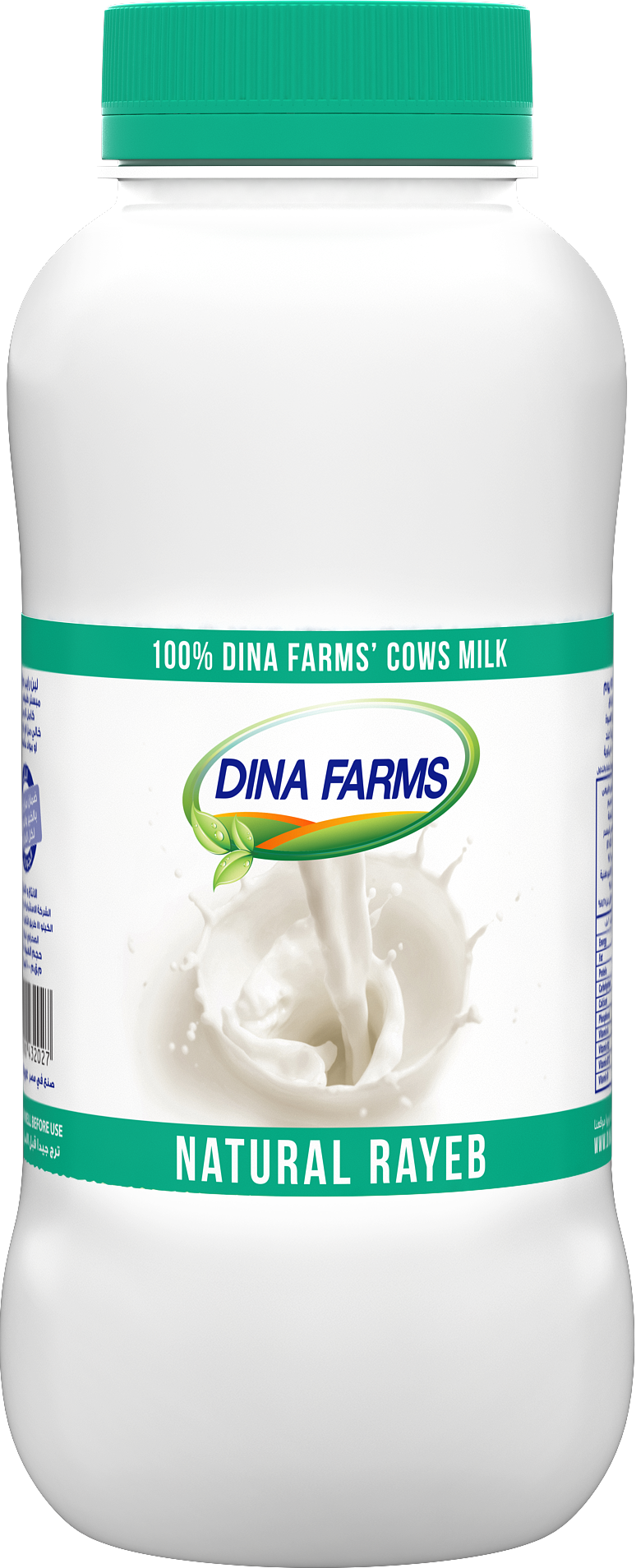 Buy Dina Farms Rayeb Milk 250 ml Online in Egypt | Talabat Egypt