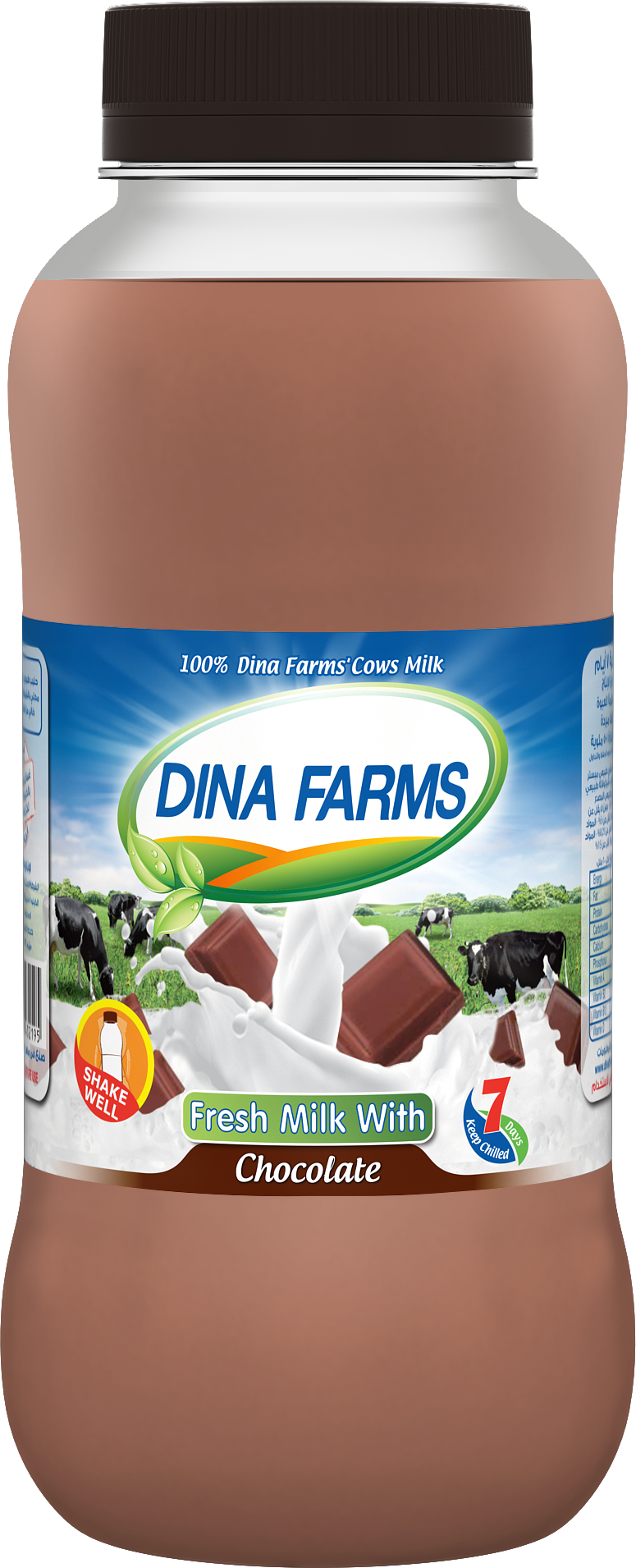 Buy Dina Farms Chocolate Milk 250 Ml Online in Egypt | Talabat Egypt