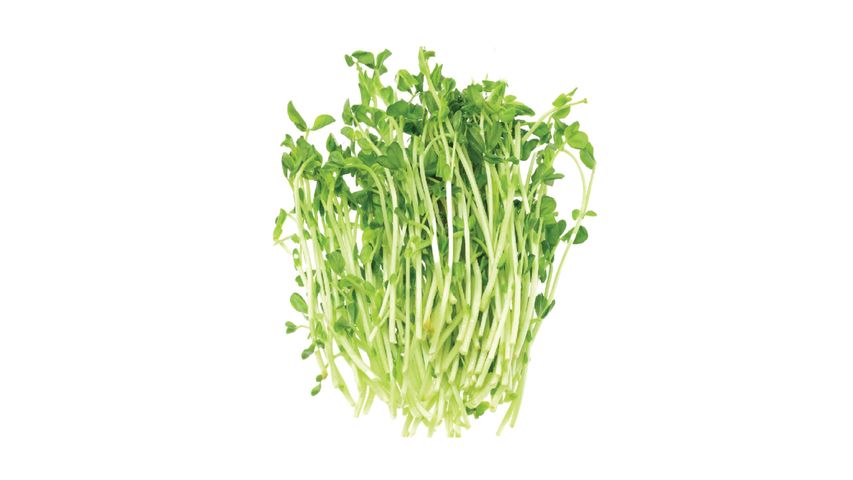 Pea Sprout (Tau Miu) 150g delivery near you | foodpanda Malaysia