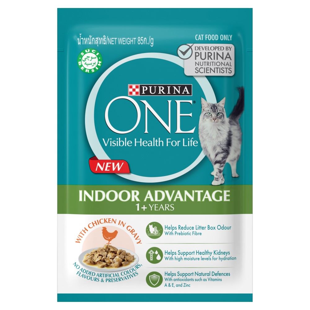 Buy Purina One Indoor Advantage with Chicken in Gravy, 1+ Years, 70g ...