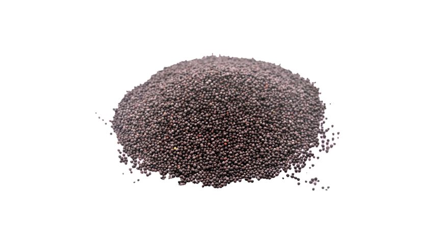 Timur Mustard Seeds 100g delivery near you | foodpanda Malaysia