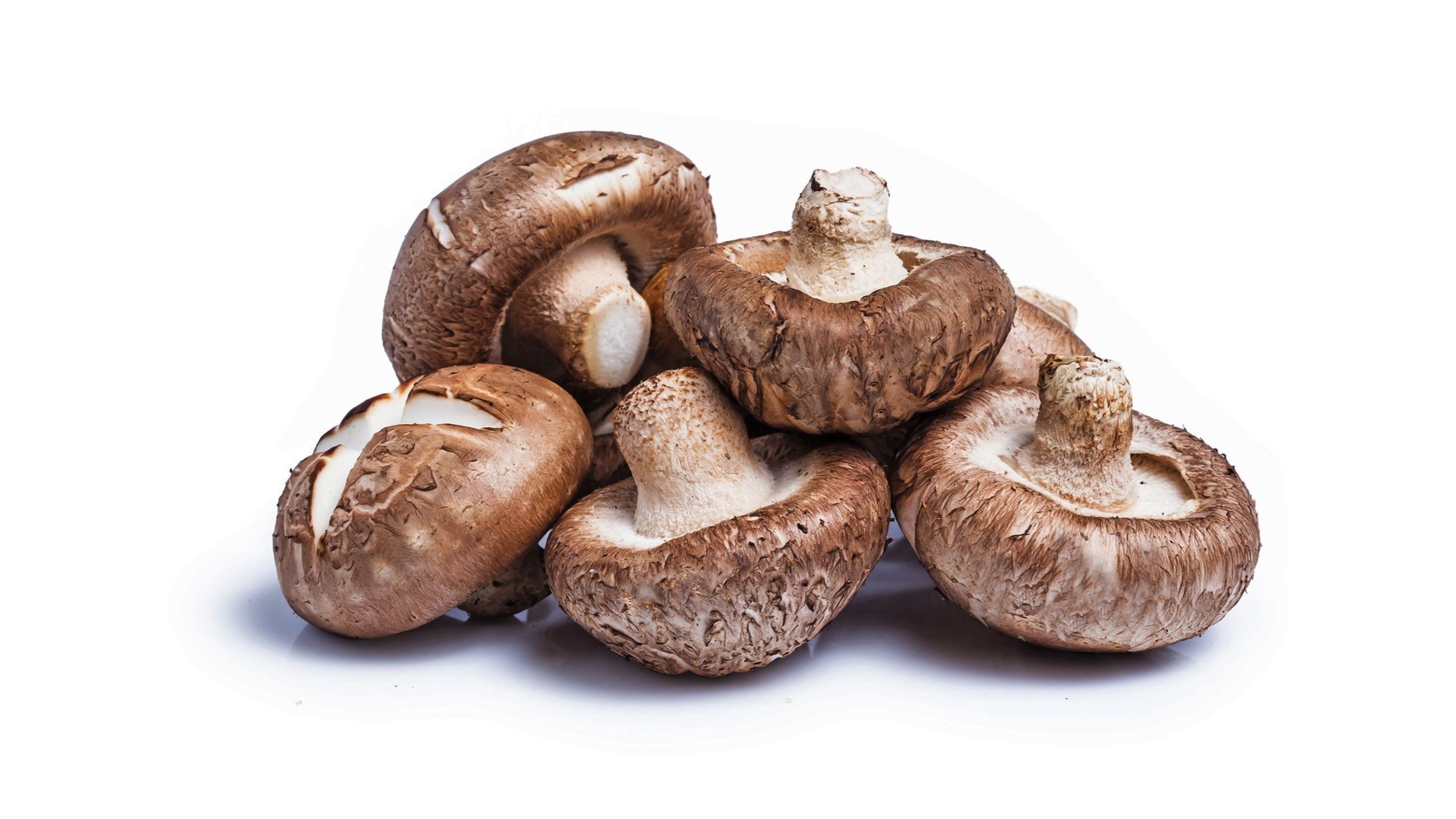 Fresh Shitake Mushroom 200g delivery near you | foodpanda Malaysia