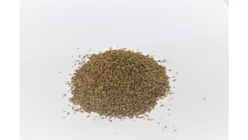 Timur Cumin Seeds 100g delivery near you | foodpanda Malaysia