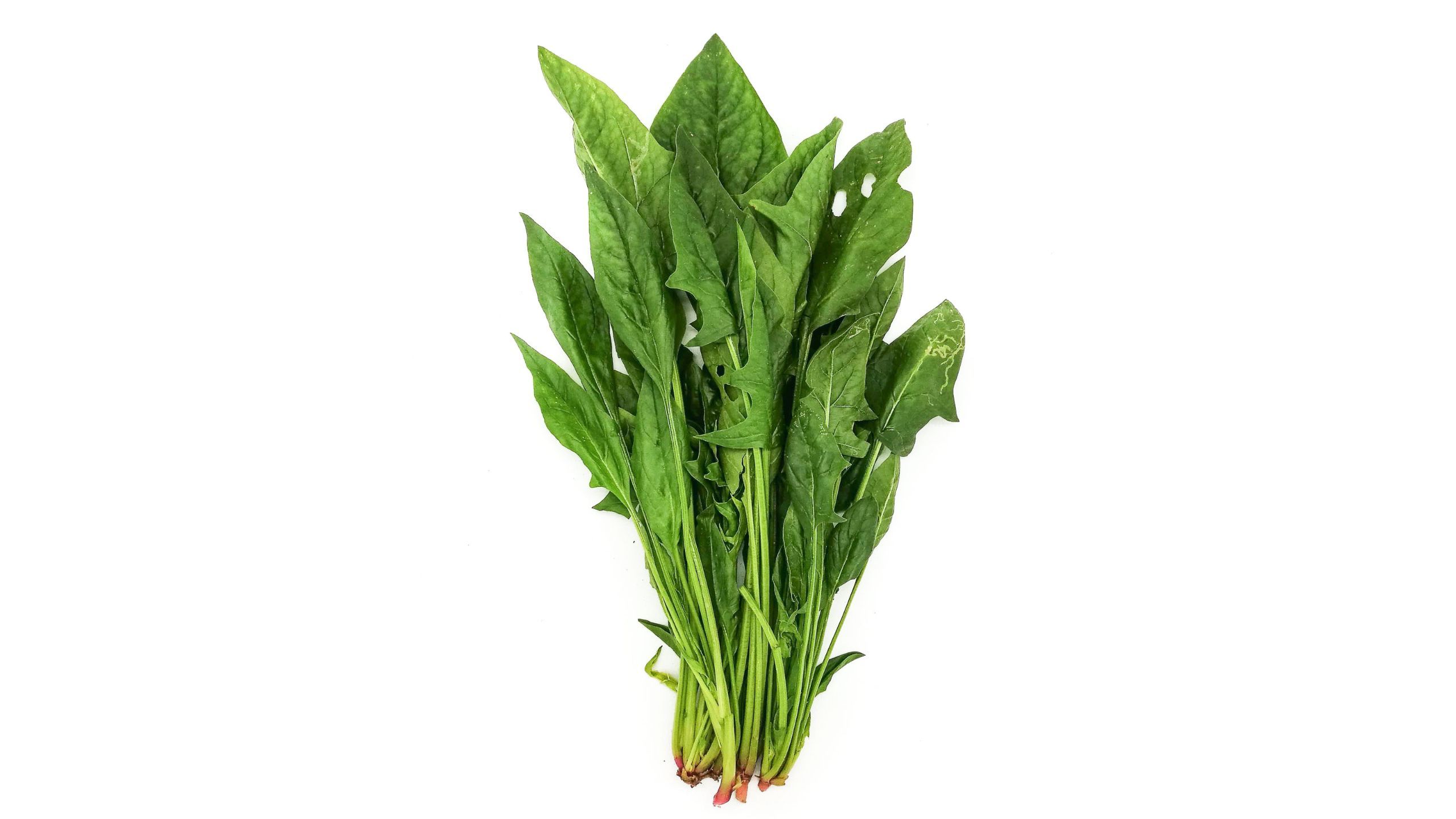 Zenxin Organic English Spinach 200g delivery near you | foodpanda Malaysia