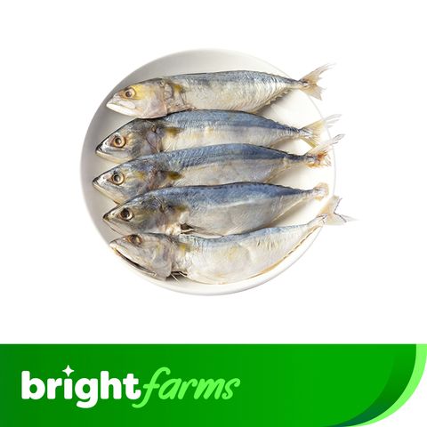 Brightfarms Frozen Cleaned and Gutted Mabong 500g delivery near you ...