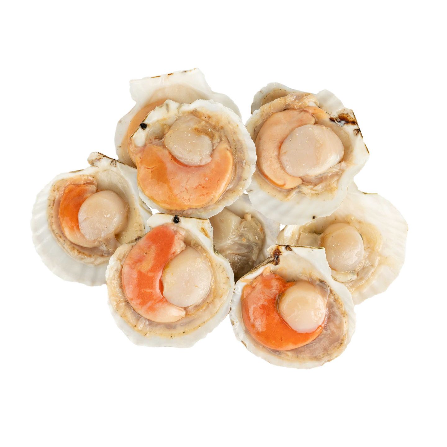 GST Frozen Half Shell Scallop with Roe delivery near you | foodpanda ...