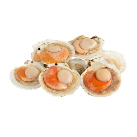 GST Frozen Half Shell Scallop with Roe delivery near you | foodpanda ...