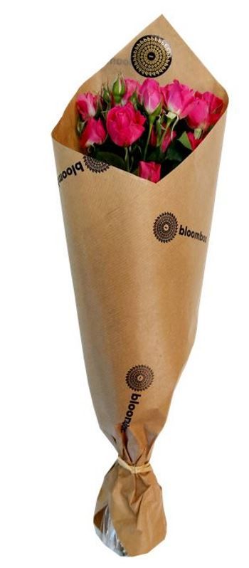Buy Spray Rose Alicia Fushia Bunch 05 Stem Online in UAE | Talabat UAE