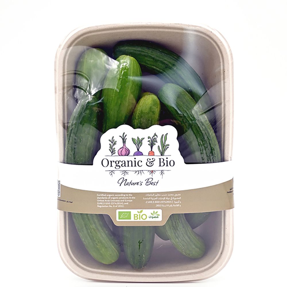 Buy Organic & Bio Cucumber UAE, 500g Online in UAE | Talabat UAE