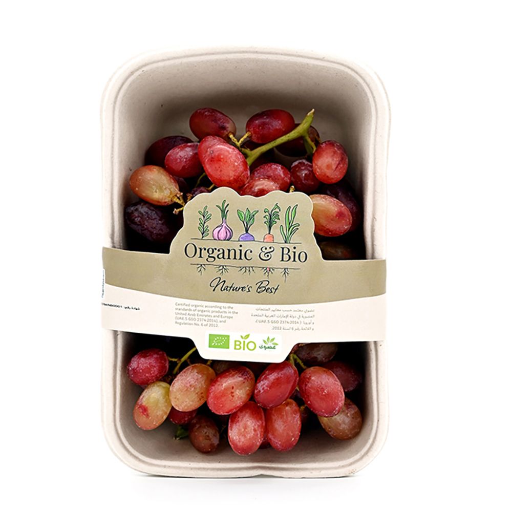 Buy Organic & Bio Grapes Red Lebanon, 350g Online in UAE | Talabat UAE
