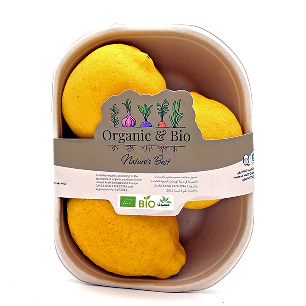 Buy Organic & Bio Lemon Lebanon, 300g-350g Online in UAE | Talabat UAE