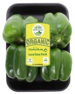 Buy Organic Green Capsicum (Pepper) - UAE, 500g Online in UAE | Talabat UAE