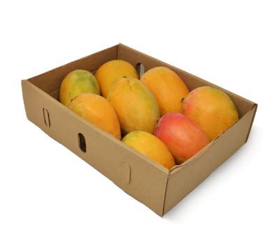 اشترِ Mango Yasmina Egypt Box أونلاين في الإمارات | طلبات الإمارات