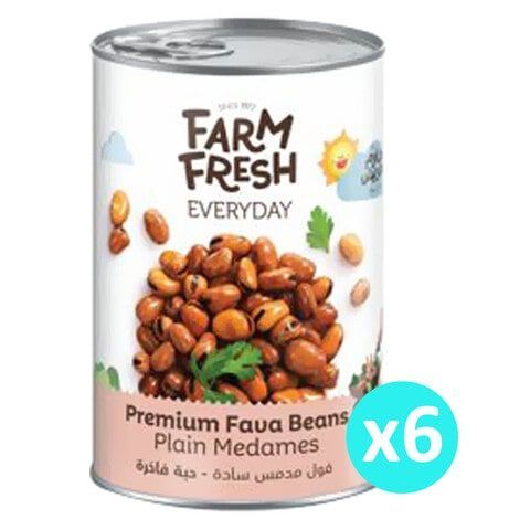 Buy FF Pre Fava Beans Plain Medames 6X450Gm Online in UAE | Talabat UAE