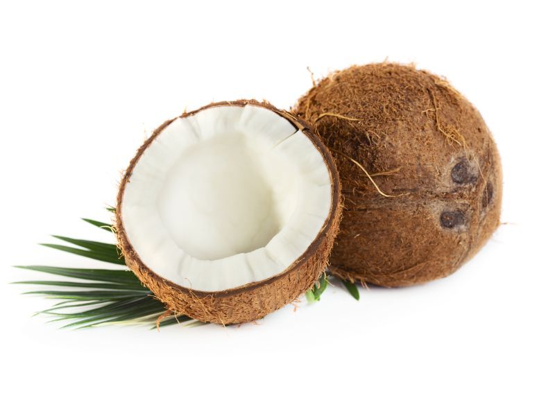 Buy Coconut - India, 1 Piece Online in Kuwait | Talabat Kuwait