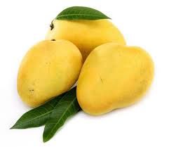 Buy Mango Yasmine Egypt 1 Kg Online in Kuwait | Talabat Kuwait