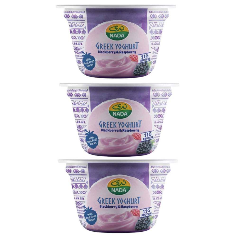 Buy Nada Greek Yoghurt Blueberry & Raspberry 160g x 3 Pcs Online in UAE ...