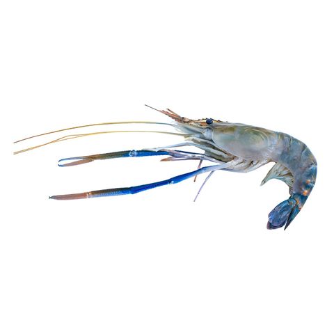 Golda Shrimp Head On Skin On Medium 500g delivery in Bangladesh | foodpanda