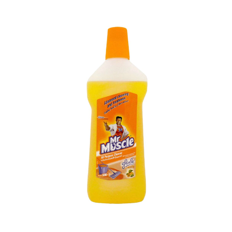 Mr. Muscle All Purpose Clean Fresh Lemon 500ml delivery in the ...