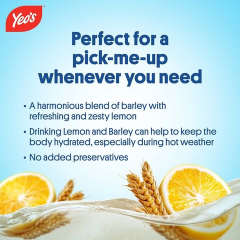 Yeo's Lemon Barley Packet Beverages 24 x 250ml (Carton) delivery near ...