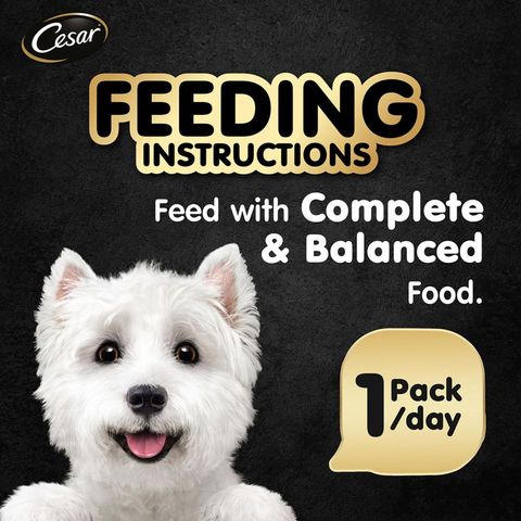 Cesar Beef Canned Wet Dog Food 100g delivery near you in Singapore ...