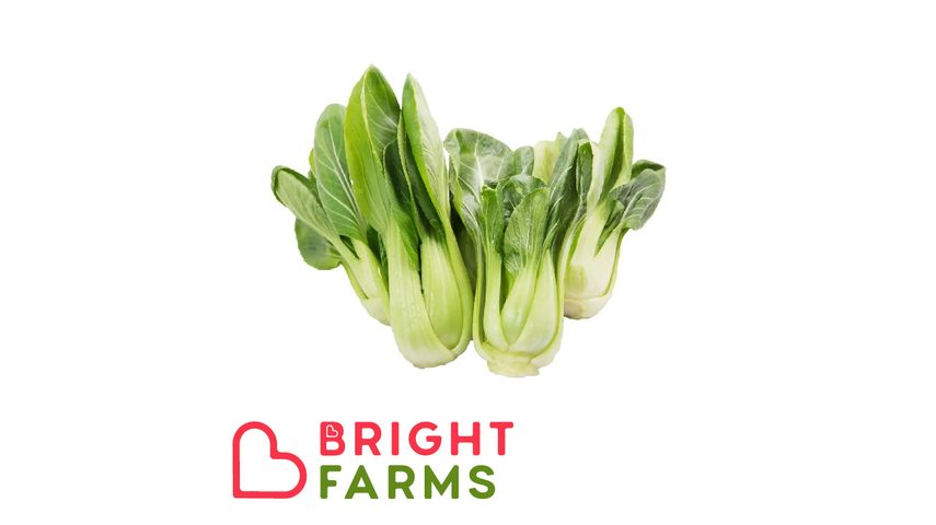 Brightfarms Siew Pak Choy 250g delivery near you in Singapore | foodpanda