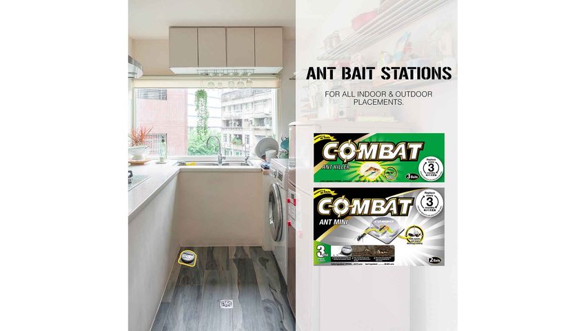 Combat Mini Bait Stations Ant Killer 12pcs x 1g delivery near you in ...