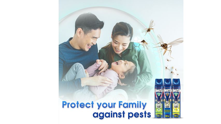 Shieldtox Odourless All Insect Killer Powergard Spray 600ml delivery ...