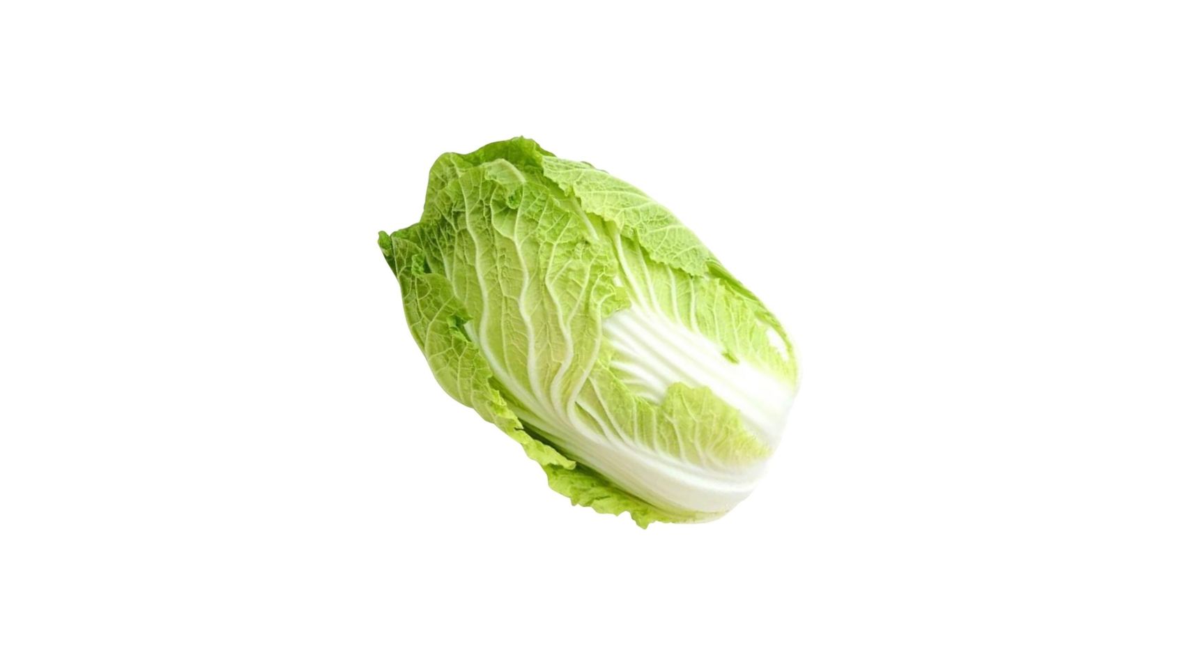 Pechay Baguio 1 Piece delivery in the Philippines | foodpanda