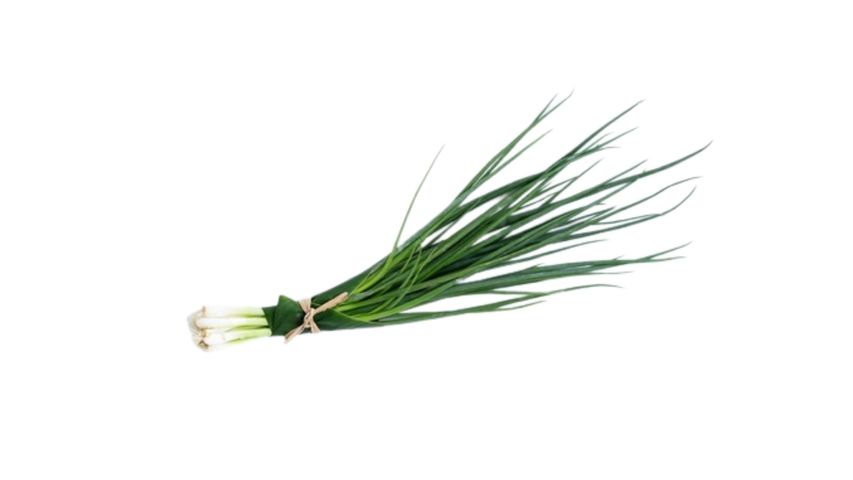Spring Onions 100g delivery in the Philippines | foodpanda