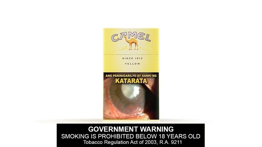 Camel Yellow 20's delivery in the Philippines | foodpanda