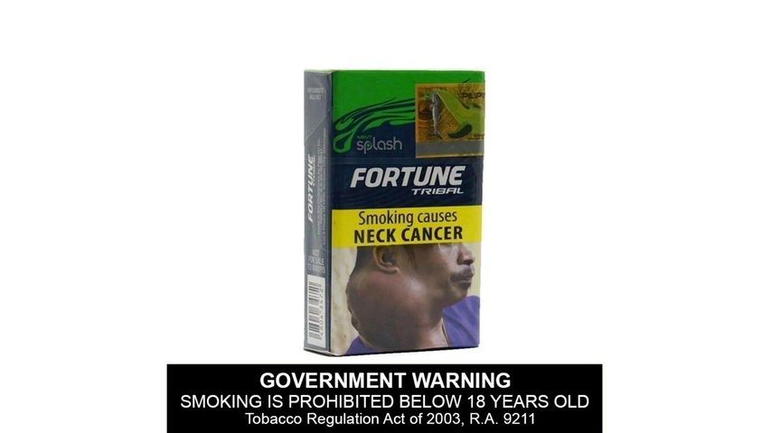 Fortune Tribal Mint Splash 20s delivery in the Philippines | foodpanda