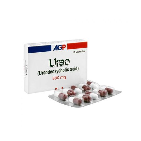Urso Insuportavel