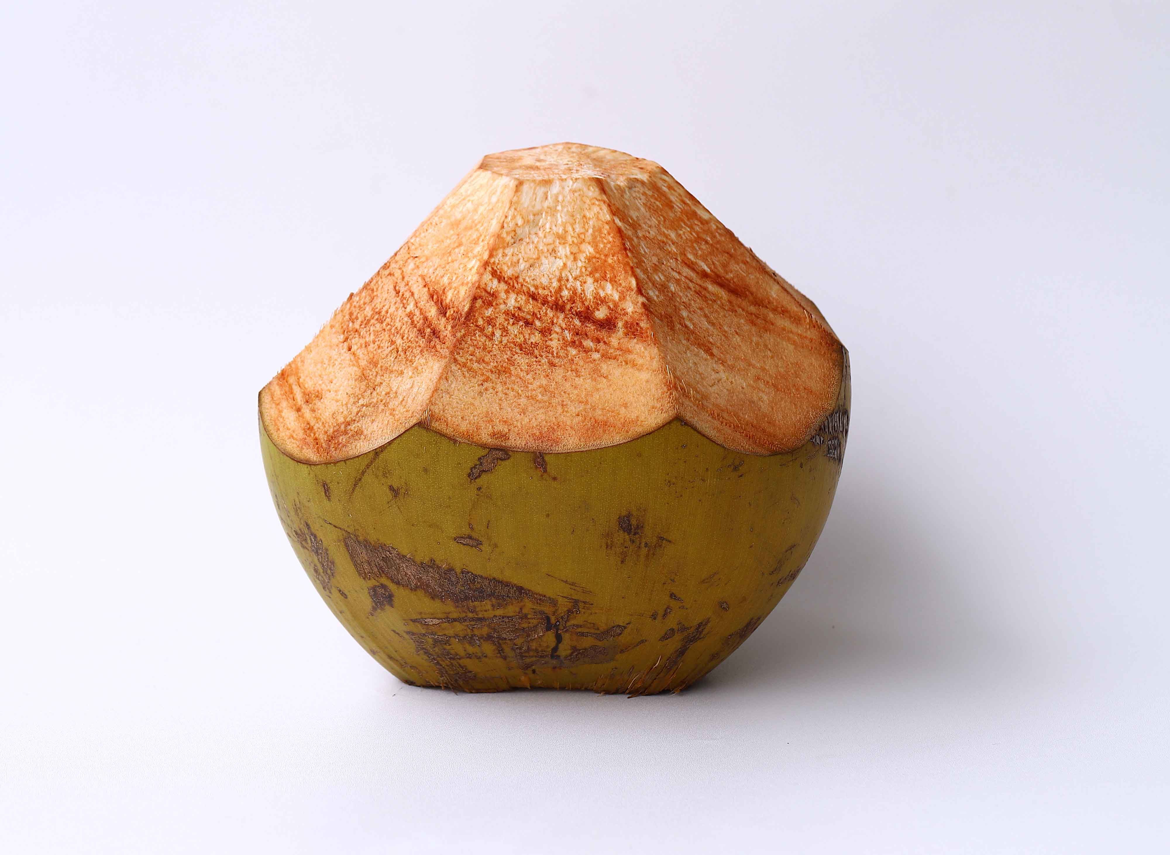 Mr Coconut The Shake delivery menu - order online | foodpanda