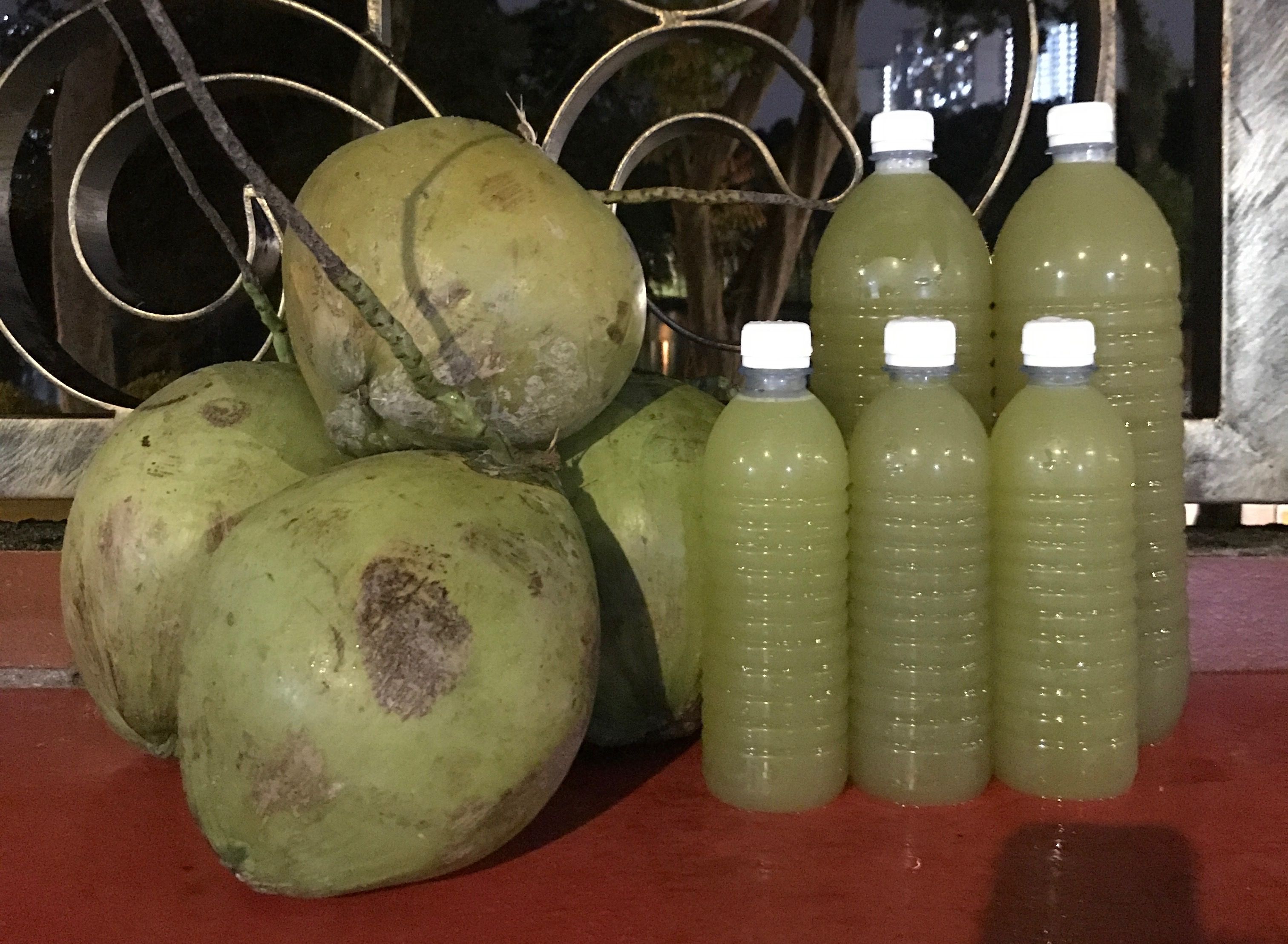 SOTONG RAJA TASIK PERMAISURI menu and delivery in Cheras | foodpanda