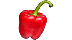 ICA Maxi Stormarknad Råå i Helsingborg hemkörning - Beställ online ...