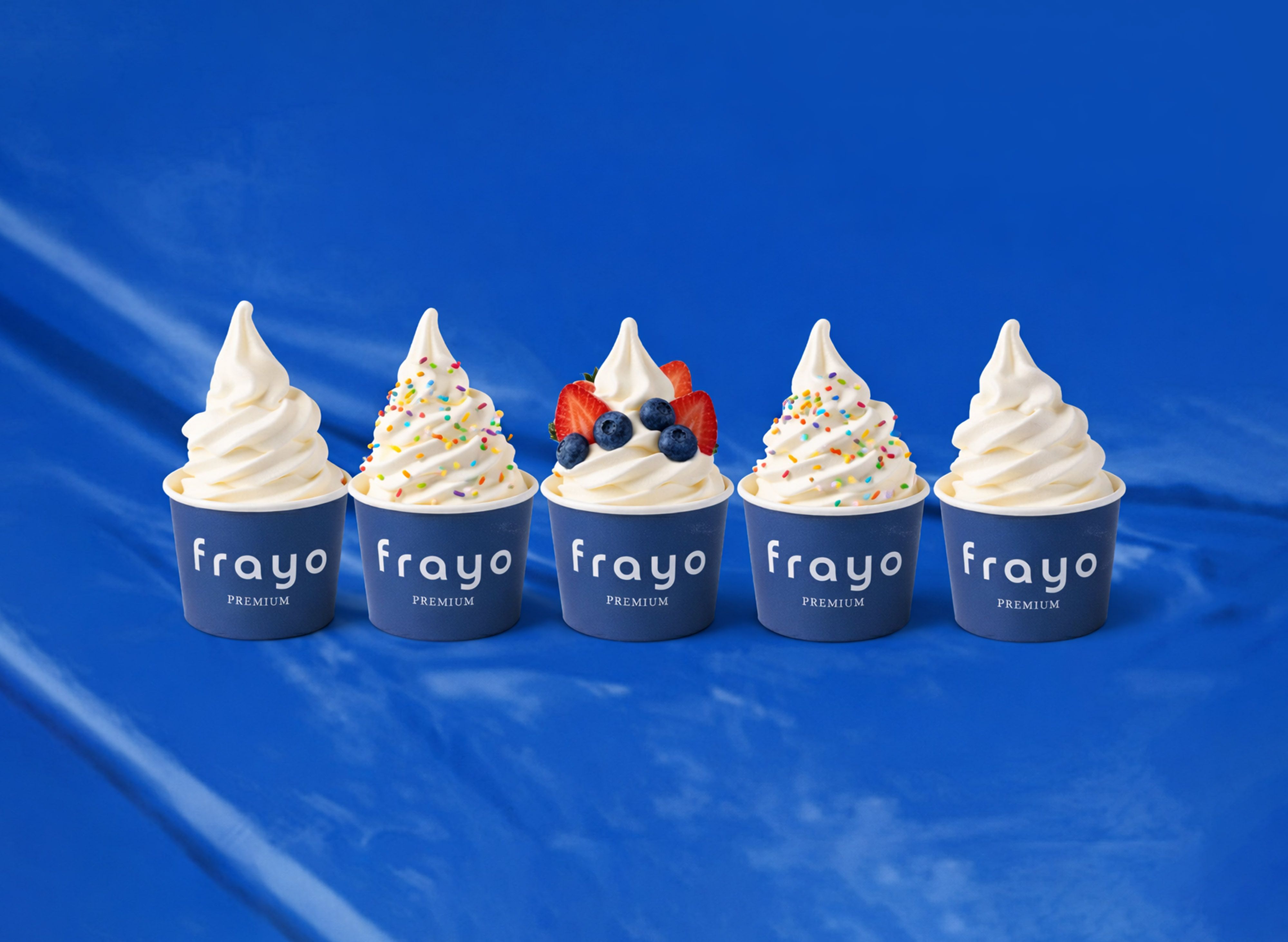 Frayo Froyo - Lake Drive Menu, Price | Food Delivery Baguio Benguet ...